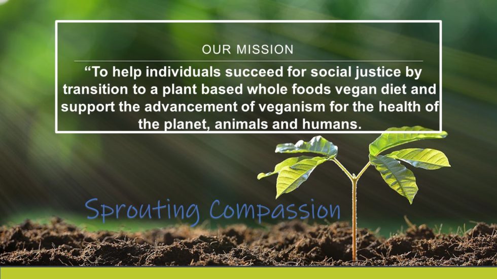 Sprouting Compassion | Planting Seeds of Compassion for All